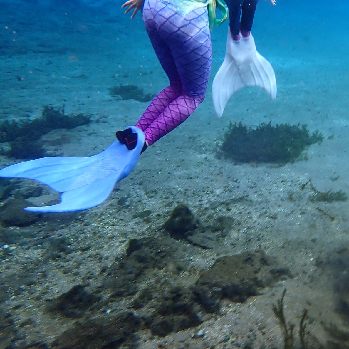 Fishi Flipper™ Silicone Monofin | Jurassic Merman Productions