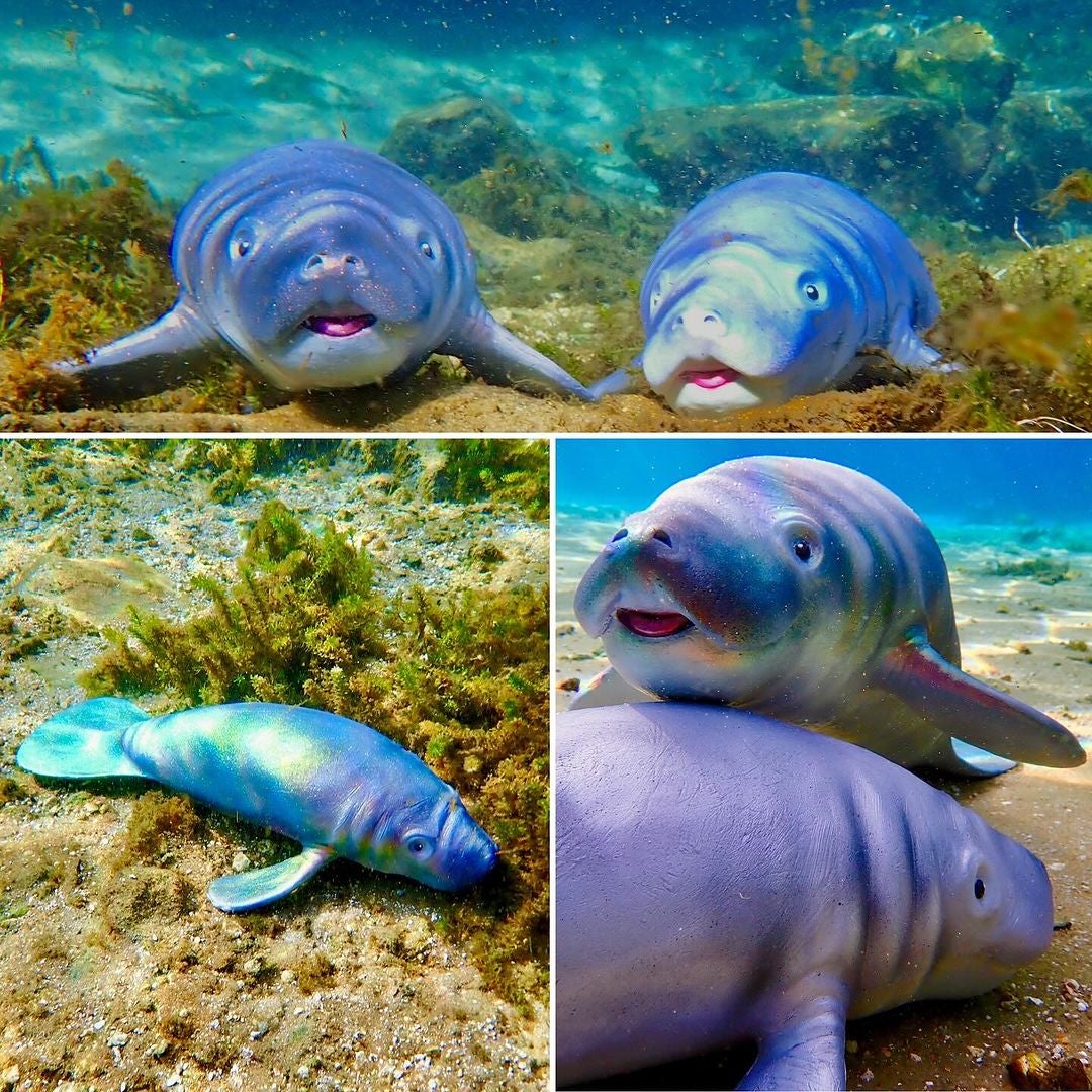 Teeny Tagalongs - Benjamin the Manatee | Jurassic Merman Productions